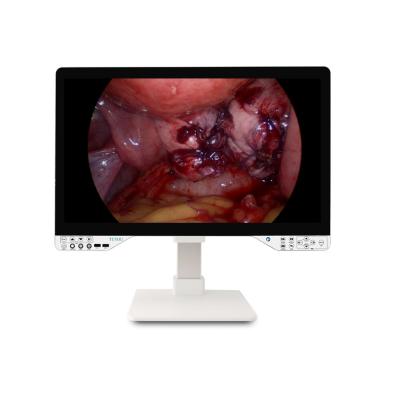 China 27 Inch FHD 1080P Endoscopic Camera System Only Rigid Endoscope with Monitor and 100W Effective Optical Power for sale