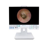 China Factory Design 15 Inch FHD Camera System With Record Compatible Flexible And Rigid Endoscope for sale
