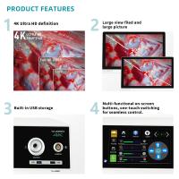 China Manufacture TUYOU 4K Endoscope Imaging Equipment For Pediatric Urology Anal Endoscope And ENT for sale
