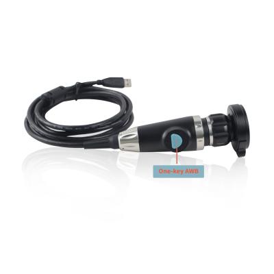 China Manufacturer USB Portable Endoscope Camera For ENT endoscopy Pet Checking Video Endoscopy On Laptop for sale