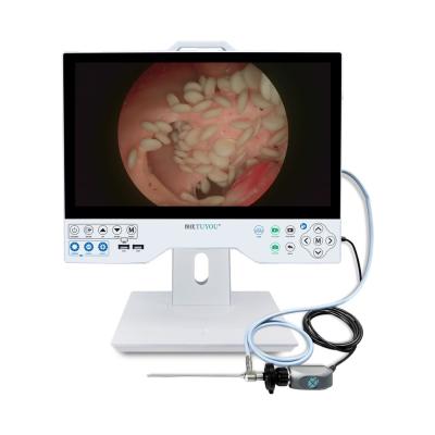 China Hot Selling 15.6 Inch Full HD Integrated Endoscopic Camera & Display System for Laparoscopy Operating Room for sale