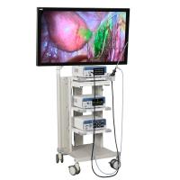 China TUYOU Featuring USB Video Recording Surgical ICG 4K Endoscope Camera System for sale