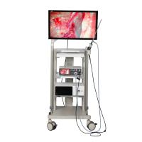 China TUYOU LED 100W 4K Endoscopy Camera System Built In Light Source For Laparoscope for sale
