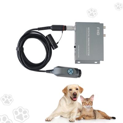 China Portable 1080P HDMI Rigid Endoscope Medical Camera For Animal Pet Veterinary for sale