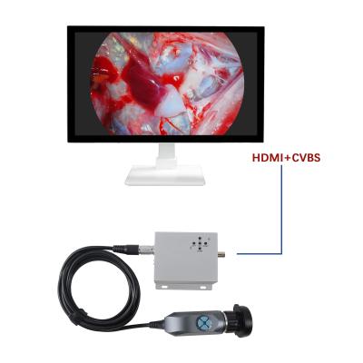 China Factory Wholesale 1080P Portable Endoscope Camera For Vet ENT Diagnose Use for sale