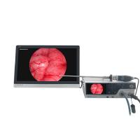 China TV-LSD101B 1080P medical endoscope camera system with recording, cold light source and USB storage for sale