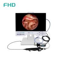 China 15'' All-in-One Full HD Endoscopy Camera System with Built-in LED Light Source for ENT and Urological Surgical Applications for sale