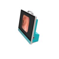 China TUYOU 13.3-Inch FHD Flexible Endoscope Camera System Multi-Color OEM Custom All-in-One Portable Uro-Gyn TikTok Hit for sale