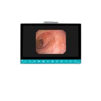 China 13.3-Inch 1080p HDMI Flexible Endoscope Camera System for Urology ENT Surgery for sale