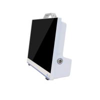 China 13.3-Inch 1080p HDMI Flexible Endoscope Camera System for Urology ENT Surgery for sale