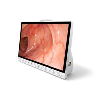 China FHD 13.3 Inches 1080P Portable Endoscopy Camera System With Recorder For  ENT Checking for sale