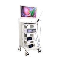 China 7 Inch Touch Screen 4K ICG Fluorescence Endoscopic Camera System Dual 2CMOS Surgical Laparoscopy Imaging Equipment for sale
