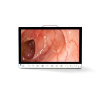 China 13.3 Inch All-in-one FHD Endoscopic Camera System Built-in 256GB Hard Drive SONY CMOS Portable Surgical Endoscopy Imaging Equipment for sale