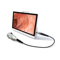 China 13.3 Inch All-in-one FHD Endoscopic Camera System Built-in 256GB Hard Drive SONY CMOS Portable Surgical Endoscopy Imaging Equipment for sale