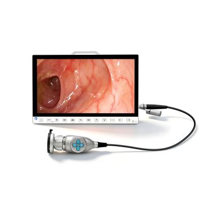 China 13.3 Inch All-in-one FHD Endoscopic Camera System Built-in 256GB Hard Drive SONY CMOS Portable Surgical Endoscopy Imaging Equipment for sale