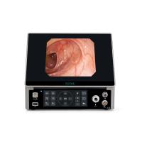 China 13.3‑inch Portable All‑in‑One ENT Endoscope Camera System, Supports Reusable Rigid & Flexible for sale