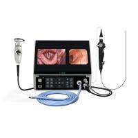 China 13.3‑inch Portable All‑in‑One ENT Endoscope Camera System, Supports Reusable Rigid & Flexible for sale