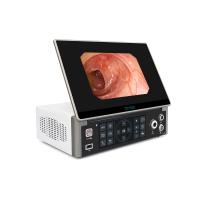 China 13.3‑inch Portable All‑in‑One ENT Endoscope Camera System, Supports Reusable Rigid & Flexible for sale