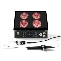 China 15.6 Inch Foldable All‑in‑One Rigid and  Reusable Bronchoscope  Camera System for sale