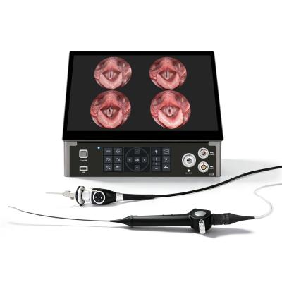 China 15.6 Inch Foldable All‑in‑One Rigid and  Reusable Bronchoscope  Camera System for sale