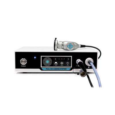 China 4.6-inch Touch Screen FHD Endoscopic Camera System with Built-in 100W LED Light Source and Multi-Output Interfaces for sale