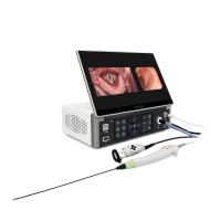 China Foldable All-in-One Endoscope Camera System with flexible scope for sale