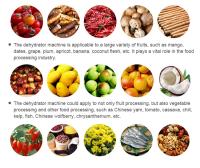 China Customized Vegetable Dehydration Machine Green Leafy Vegetable and Pumpkin Drying Oven for sale