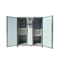 China Electric Heating Lemon Slice Onion Industrial Drying Oven Food Processing Tray type for sale