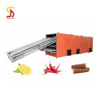 China Customized High Efficiency Low Cost Mesh Belt Dryer for Food Vegetable Fruit Dehydration for sale