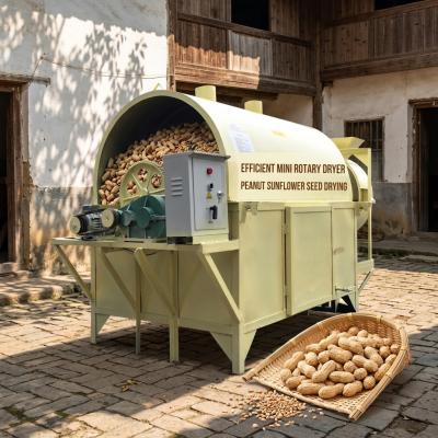 China Walnut Peanut Sunflower Seed Mini Rotary Drum Dryer Home Use Customized Color for sale