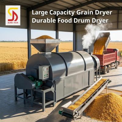 China Newly Popular Large Capacity Food Drum Dryer Grain Corn Wheat Rice Peanut Small Drum Dryer for sale
