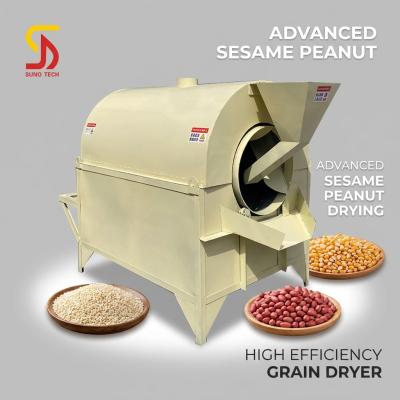 China High Efficiency Sesame Seeds Peanuts Grain Drying Equipment for sale
