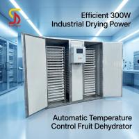 China 300w Automatic Industrial Dehydrator Machine Tray Drying Oven For Mango Garlic Ginger Banana Pineapple for sale