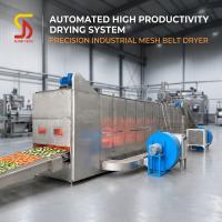 China Automatic Energy Saving High Productivity Mesh Belt Dryer for Industrial Food Processing for sale