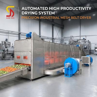 China Automatic Energy Saving High Productivity Mesh Belt Dryer for Industrial Food Processing for sale