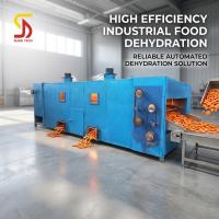 China High Efficiency Energy Saving Stainless Steel Mesh Belt Dryer for Industrial Food Dehydration for sale