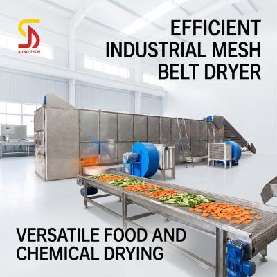 China Automatic Multifunctional Energy Saving Mesh Belt Dryer Industrial Drying Machine for Food and Chemicals for sale