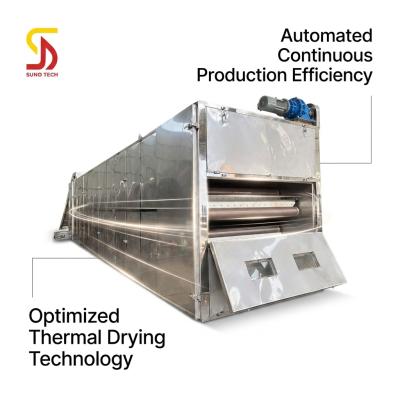 China Continuous Operation Mesh Belt Dryer with Precise Temperature Control and Energy Saving Hot Air Circulation Drying Equipment for sale