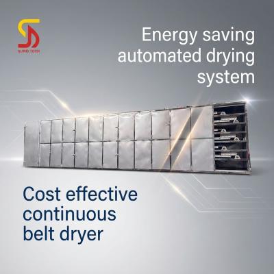 China High Efficiency Low Cost Wire Belt Dryer with Carbon Steel/SS304/SS316L Construction and 1 Year Warranty for sale