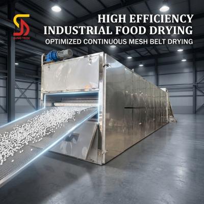 China Single Layer and Multi Layer Continuous Mesh Belt Dryer with High Efficiency Low Cost for Food Processing in Carbon Steel for sale