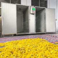 China Small Output Capacity Food Dehydrator Vegetable Fruit Drying Machine Fish Meat Dry Drying Equipment for sale