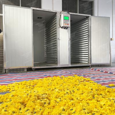 China Small Output Capacity Food Dehydrator Vegetable Fruit Drying Machine Fish Meat Dry Drying Equipment for sale