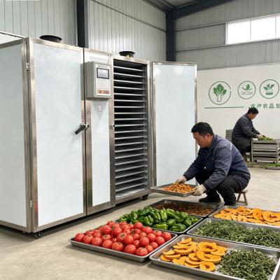 China Commercial Food Dryer Machine with 680w Dehumidifier and 850 kg/h Evaporation Rate for Easy-to-use Drying Oven for sale