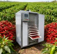 China Easy-to-use Tray Drying Oven with 680w Dehumidifier and 400-600 kg Input Capacity for Farm Drying for sale