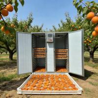 China Energy Saving Drying Machine Dehydrator Tray Dryer for Mango Ginger Garlic Root Vegetable Seafood Drying for sale