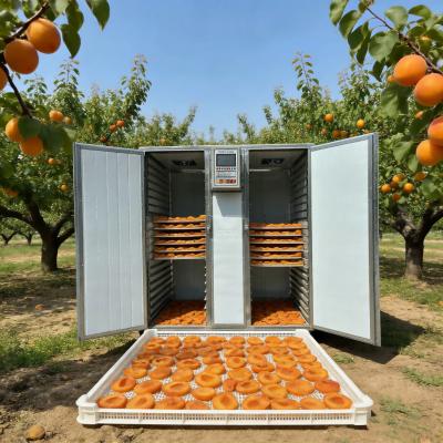 China Energy Saving Drying Machine Dehydrator Tray Dryer for Mango Ginger Garlic Root Vegetable Seafood Drying for sale