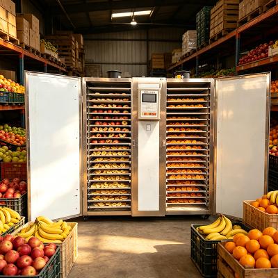 China Hot Air Circulation Dehydrator Machine Tray Dryer Drying Oven for Banana Stevia Chrysanthemum Drying Work for sale