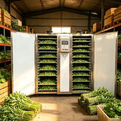 China Energy Saving Chrysanthemum Drying Oven Tray Dryer Stevia Leaves Low Temperature Dehydration Machine for sale