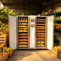 China Low Temperature Food Processing Dehydration Machine Vegetable Pumpkin Eggplant Drying Cabinet for sale