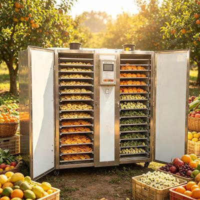 China Tray Fruit Dehydrator Drying Oven Cabinet For Banana Chips Orange Slices Apple Mango Tropical Fruit Low Temperature Dehydration Machine for sale